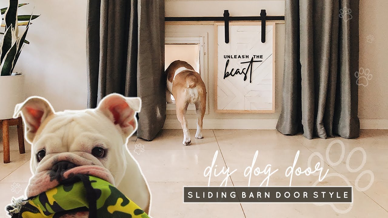Why I DIY'd a cute sliding barn door for my pup