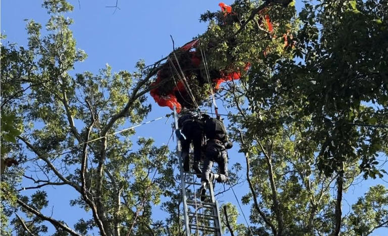Tandem skydivers become separated, with one falling to his death and ...