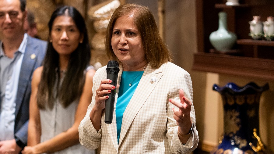 Hashmi wins Virginia lieutenant governor’s race, will be first Muslim ...