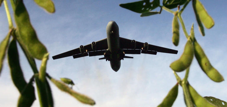 China’s not buying U.S. soybeans, and that’s making Ohio farmers anxious