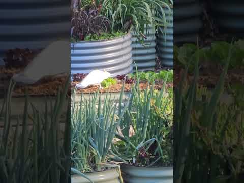 TEARING it APART for NO REASON!