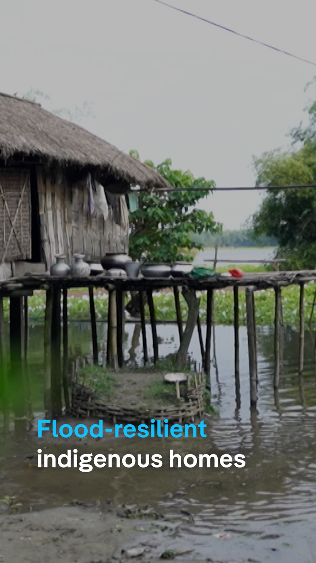 Flood-resilient indigenous homes