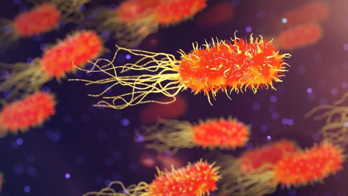 IAs criam primeiro vírus em laboratório capaz de derrotar superbactérias