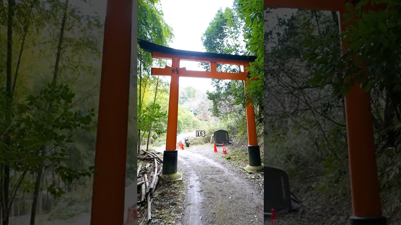 Tori gates in Japan: worth the expense?