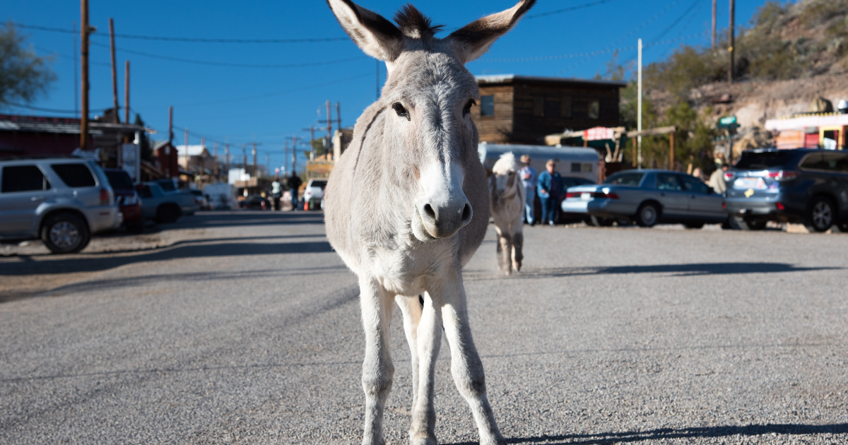 11 Unsuspecting Small Towns With an Odd Claim to Fame