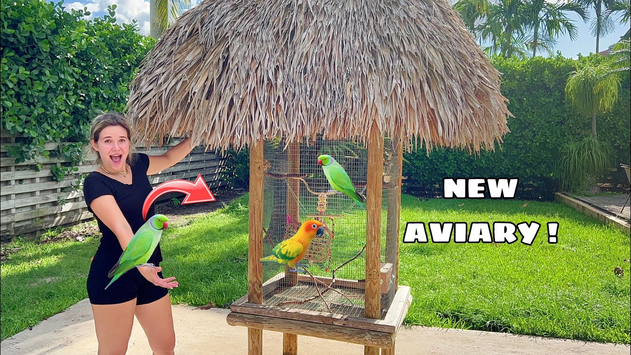 From blueprints to birds: Breeding aviary build