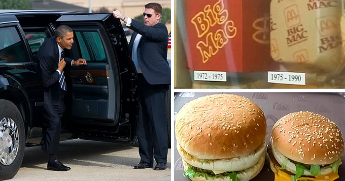 50 Times People Spotted ‘Absolute Units’ And Just Had To Share Pics ...