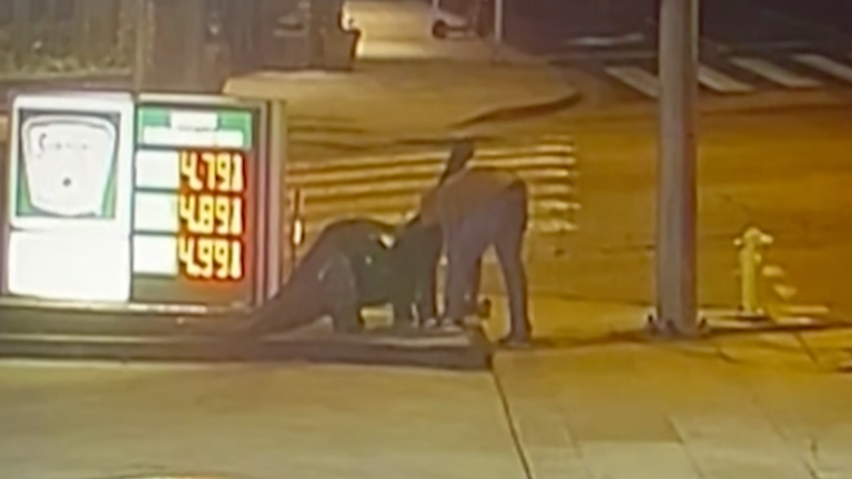 Stolen dinosaur statue returned to L.A. gas station