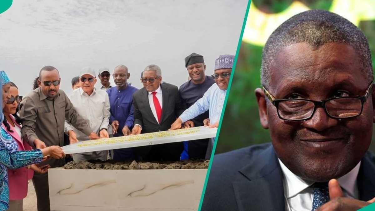 What to know as After refinery, Dangote begins another world class ...