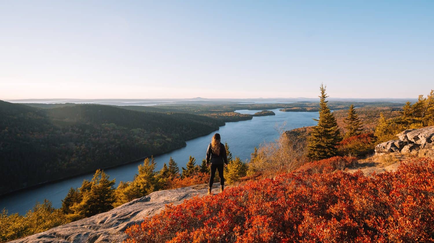 Every Animal You Can Spot in Acadia National Park