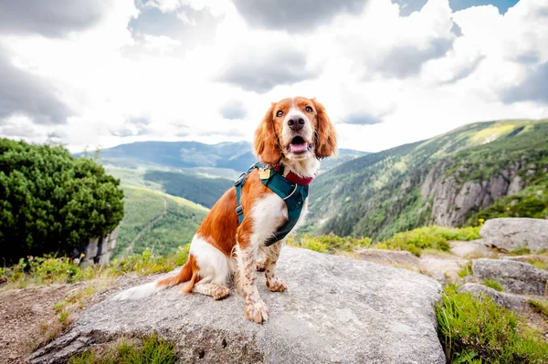 The Appalachian Trails That Define East Coast Hikes