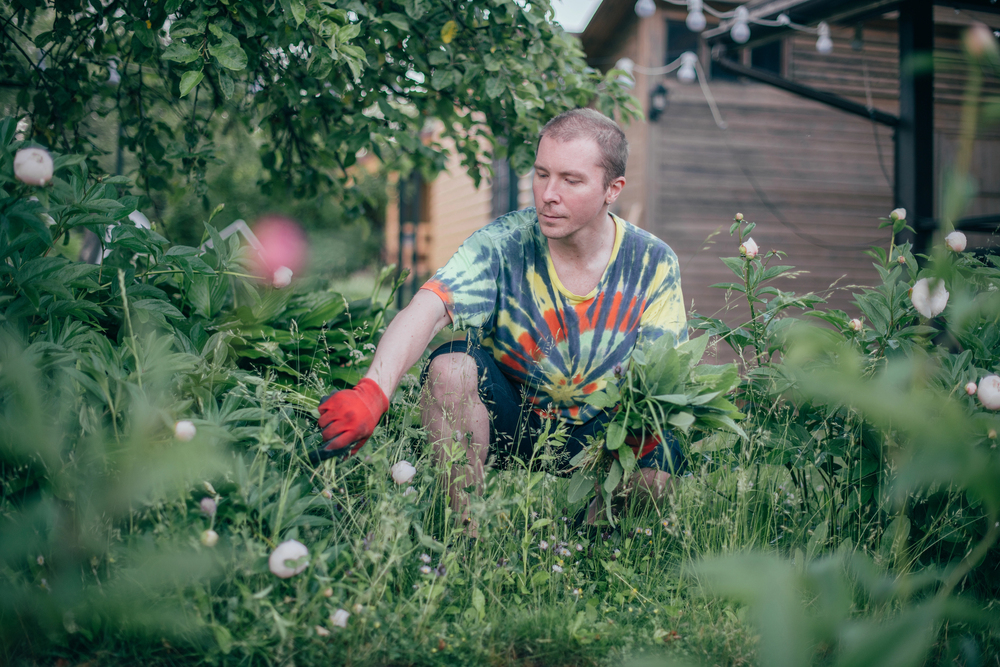 How to Plan Backyard Gardens on a Small Budget