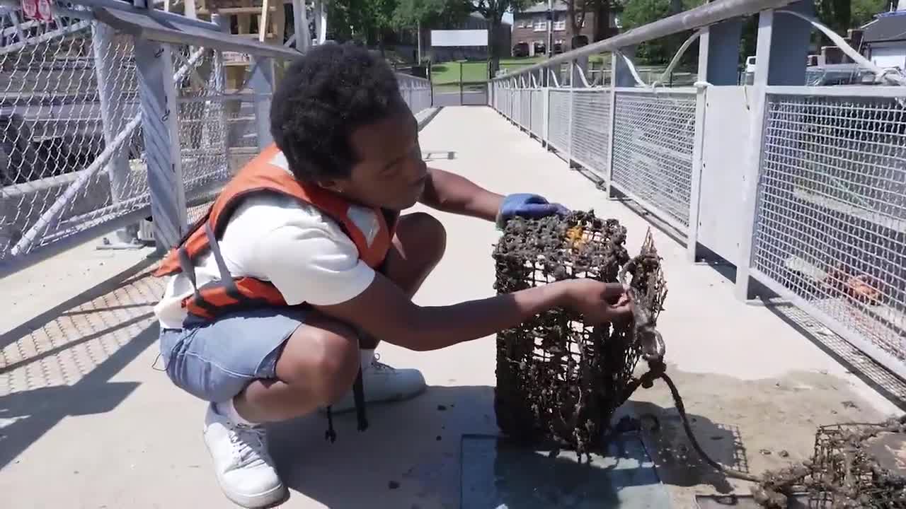 Inside New York City's Billion Oyster Plan to Fight Climate Change