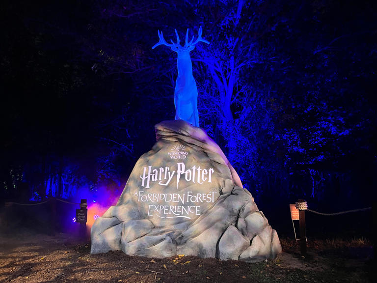 World of Harry Potter comes to Chicago suburbs with immersive Forbidden ...