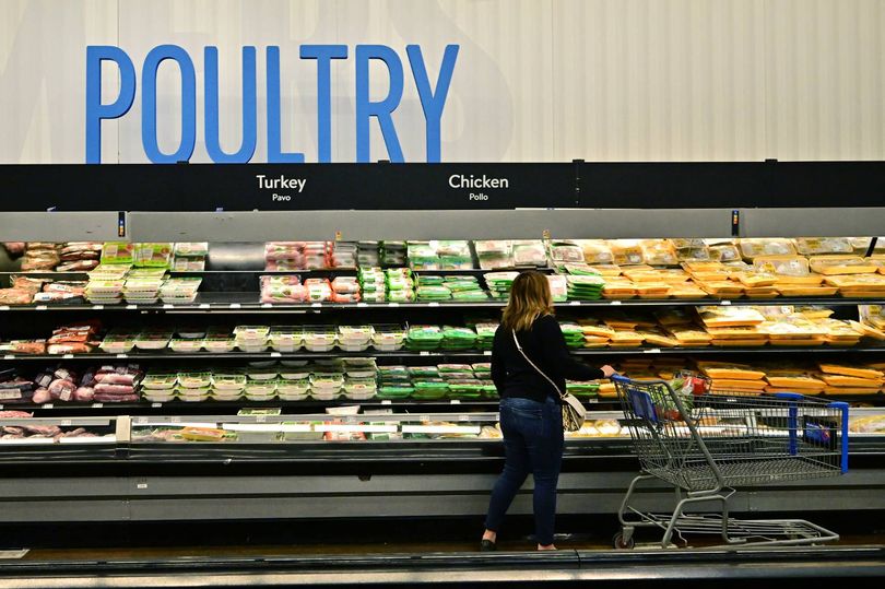 Urgent Ireland bird flu warning as pandemic fears mount in 'high risk ...