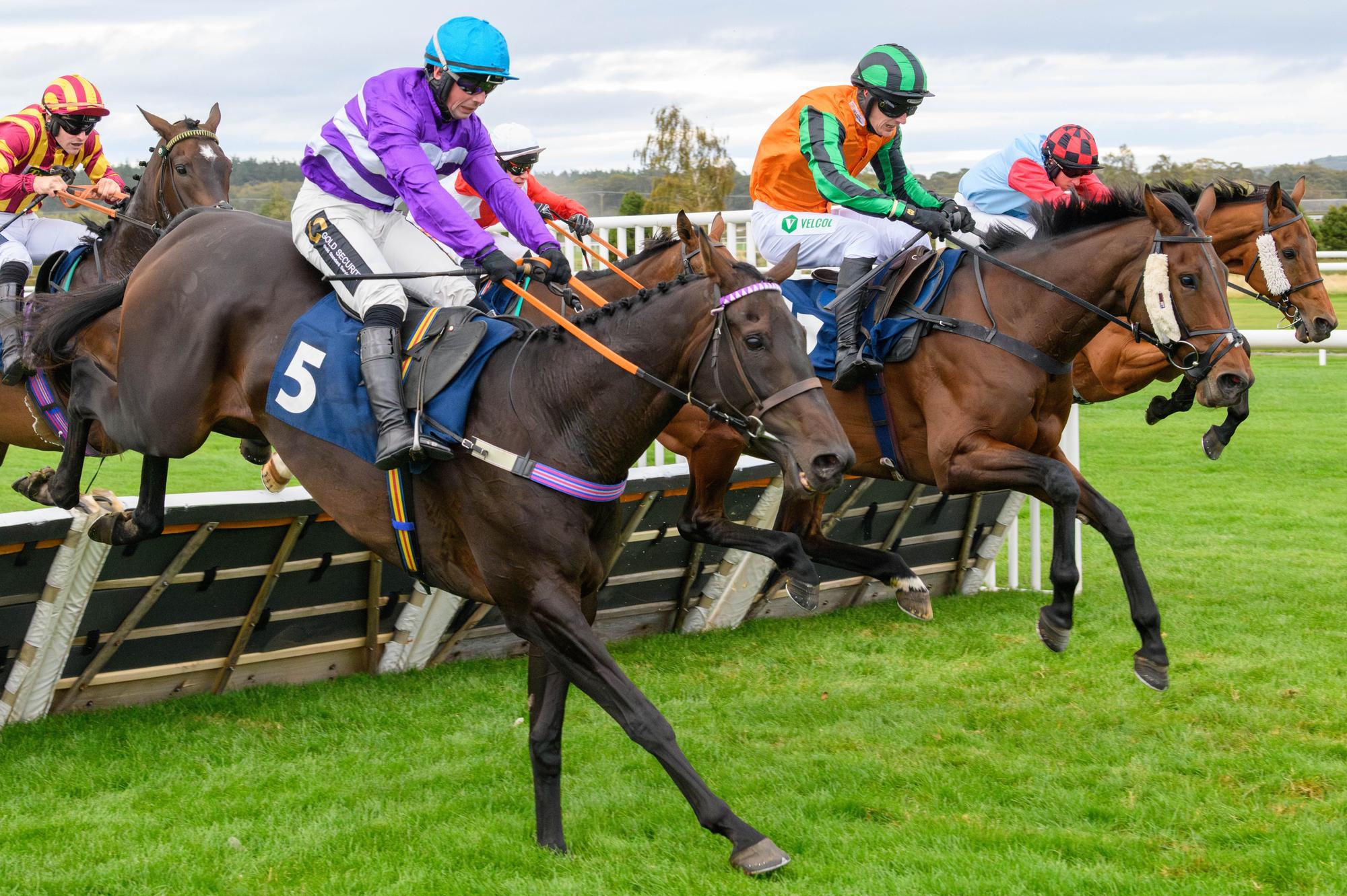 Camptown trainer Gary Rutherford is Borders’ only success story at ...