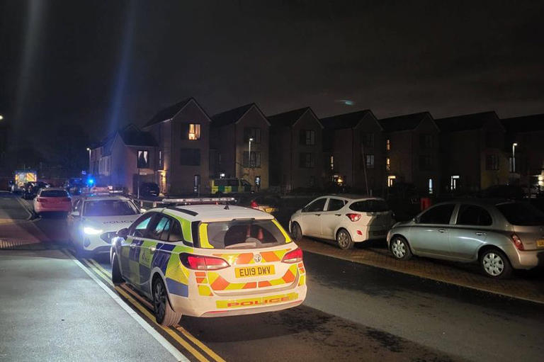 Depressed mom 'decides to murder autistic son' after challenges of ...