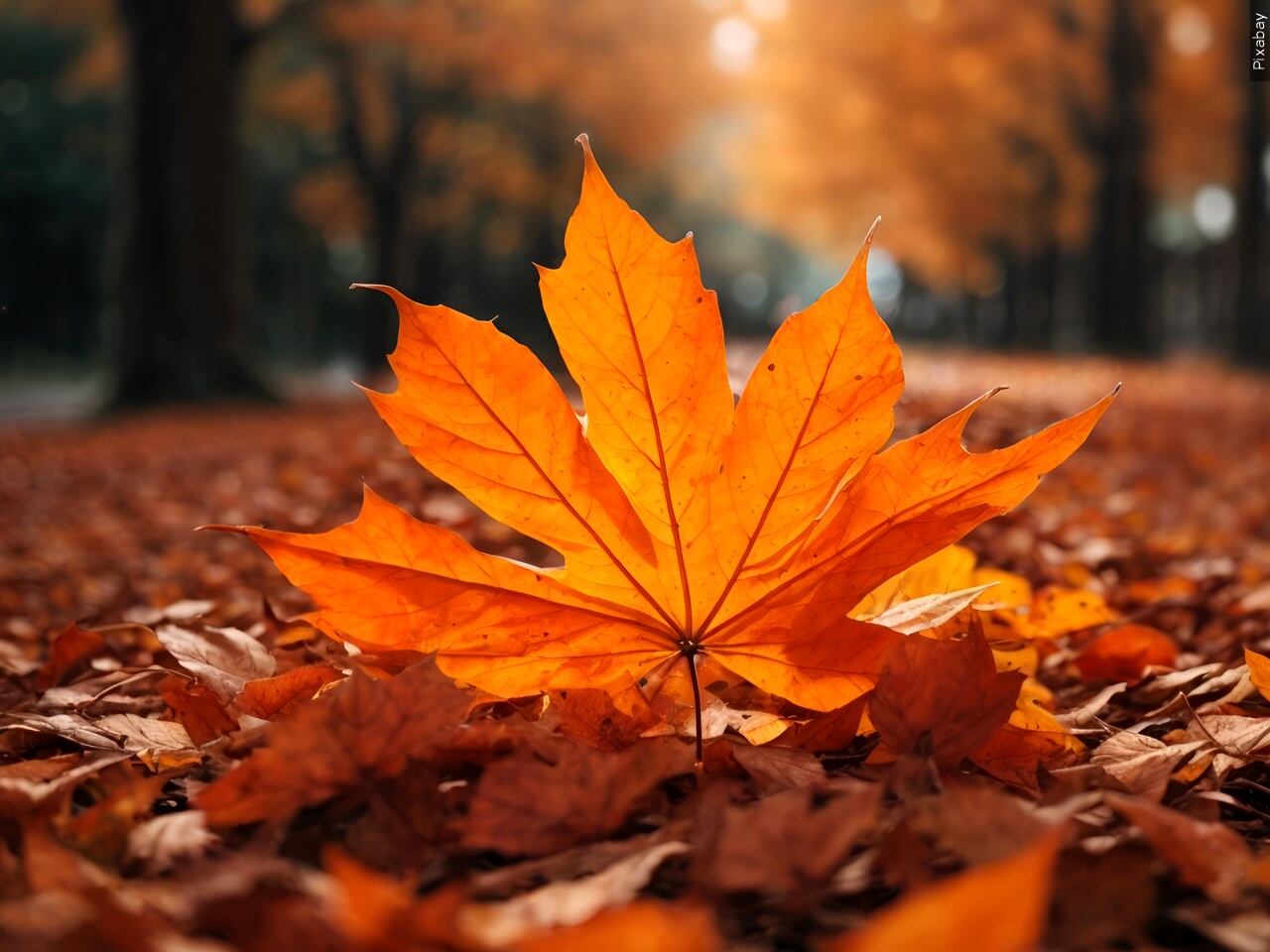 Fall Hazards: Autumn Dangers Inside Your Home