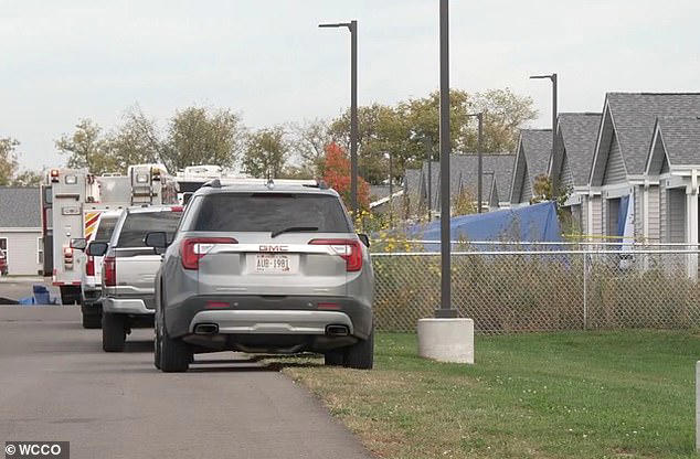 Brother's final act of love for pregnant sister, 17, when her boyfriend ...