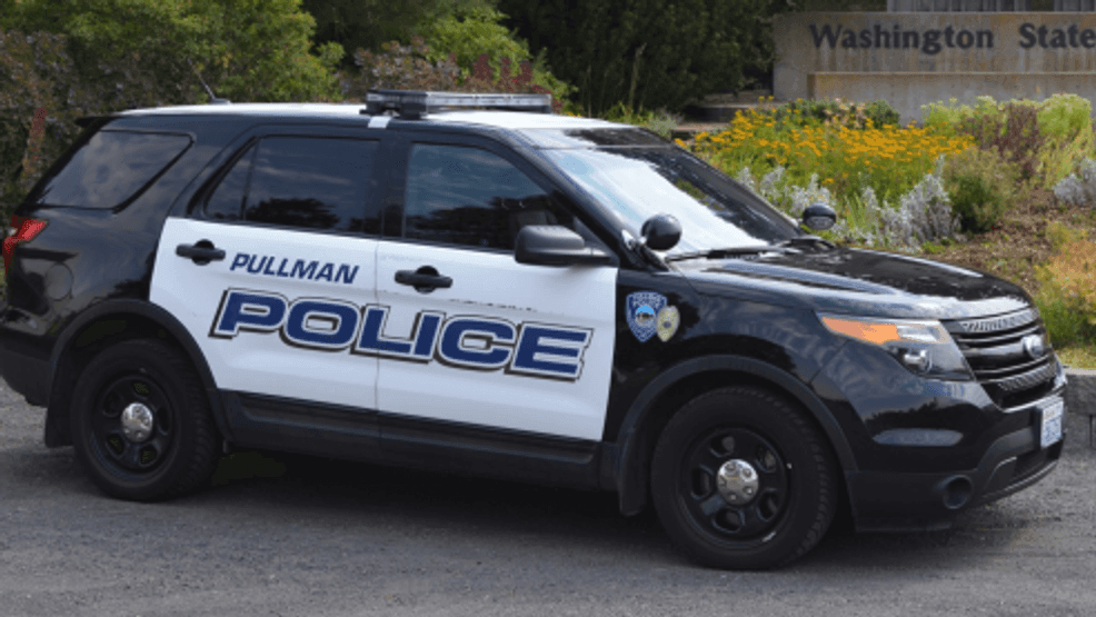 Pullman police detain suspects after early morning assault
