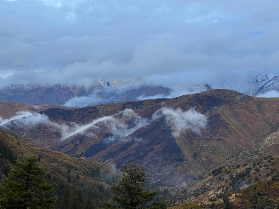Forest Service issues new closure due to Cherry Fire