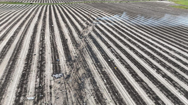 NTSB investigating plane crash in Florida peanut field