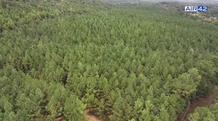 Bessemer City Council approves Project Marvel, paving way for new data ...