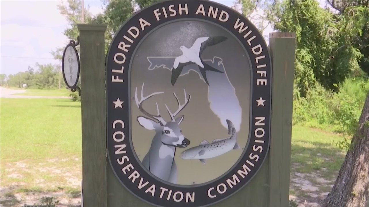 Chronic wasting disease case found in Holmes County deer