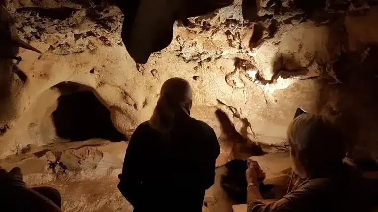 What Scientists Found Sealed in This Cave for 57,000 Years Wasn’t Made ...