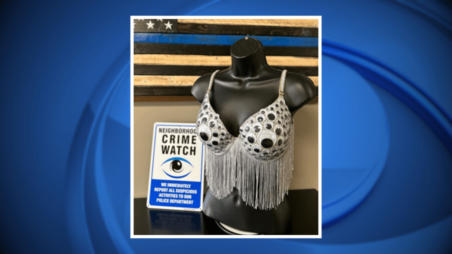 Brown County deputies strap in for a cause, ‘BRAs of the Bay’ returns