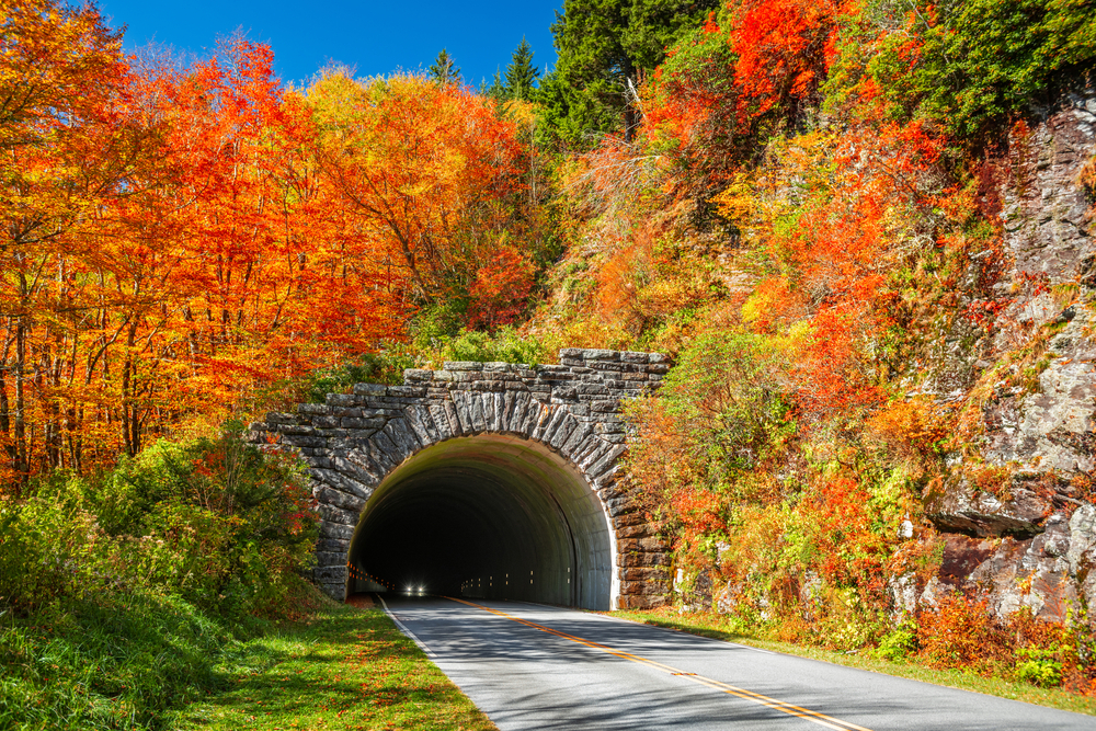17 spring road trips with scenic drives and walkable stops