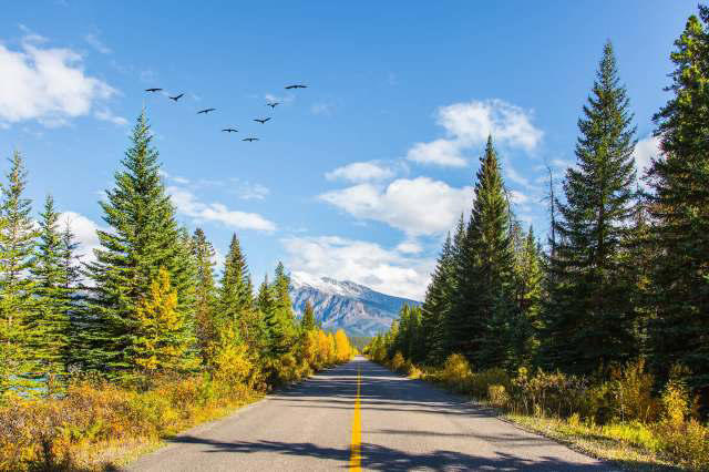 Experts concerned after spotting unexpected breakdown in animal ...