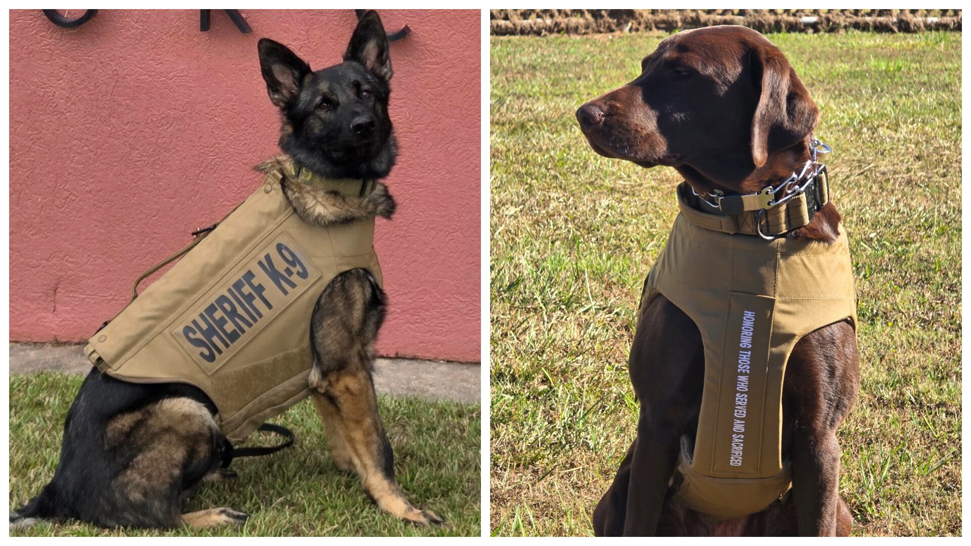 2 local agencies receive protective vests for K9 units