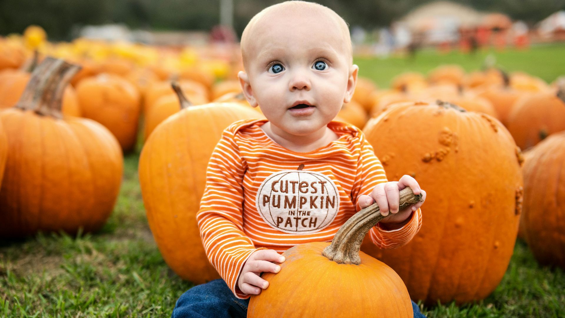 20 prénoms d’automne pour votre petite citrouille