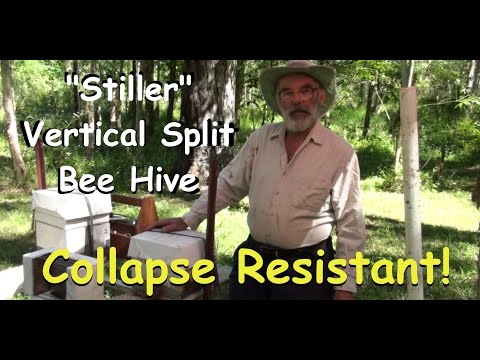 Stiller Carbonaria Vertical Split Collapse Resistant Brood Box for ...