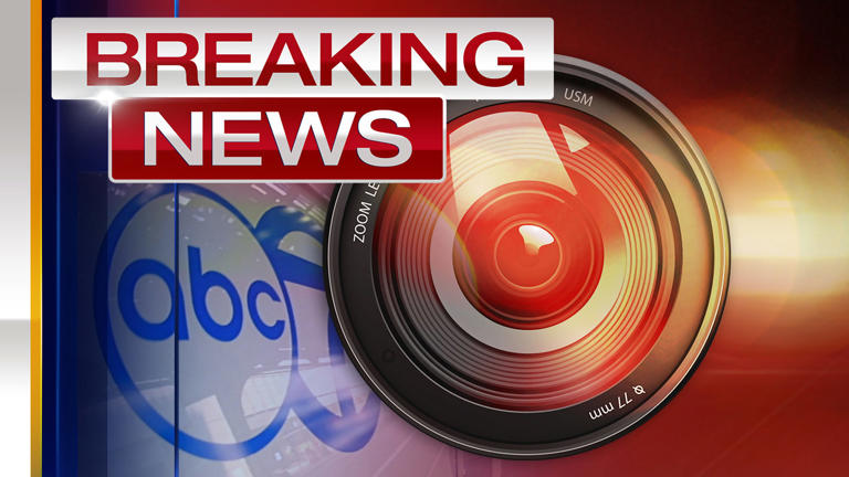 Person sets himself on fire near CTA Blue Line stop, causing delays ...