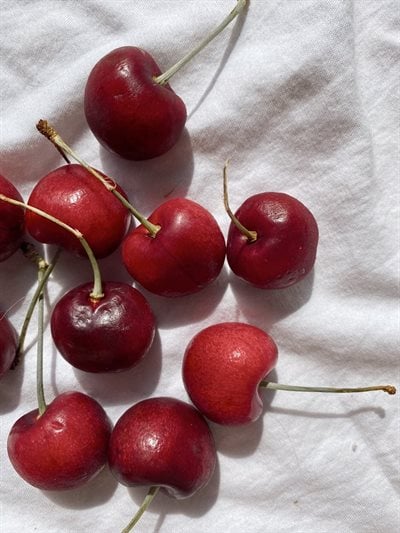 "Not only waistlines, but lifespans” — Dr Tommie Smook on GLP-1s