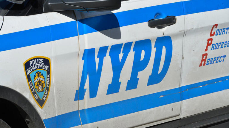 Suspect shot by police after striking officers with vehicle in the ...