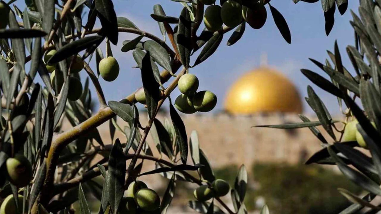Holy Gardening: 9 Plants With Religious Significance