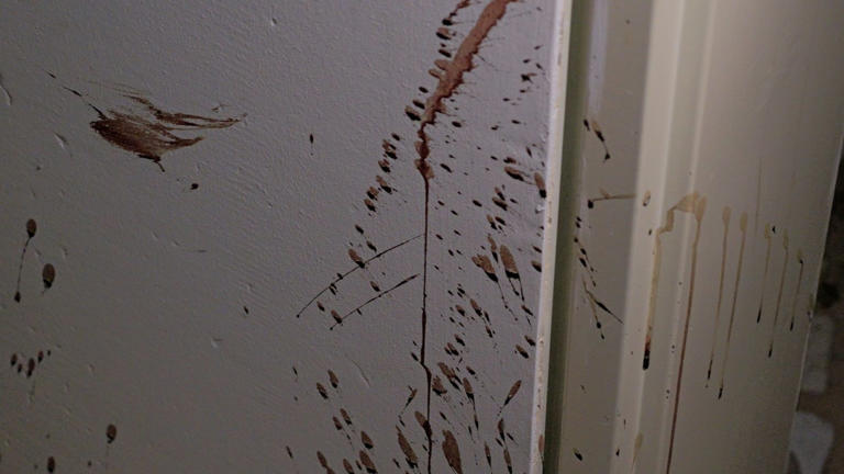 'It is trauma': Two lives torn apart by day that changed everything