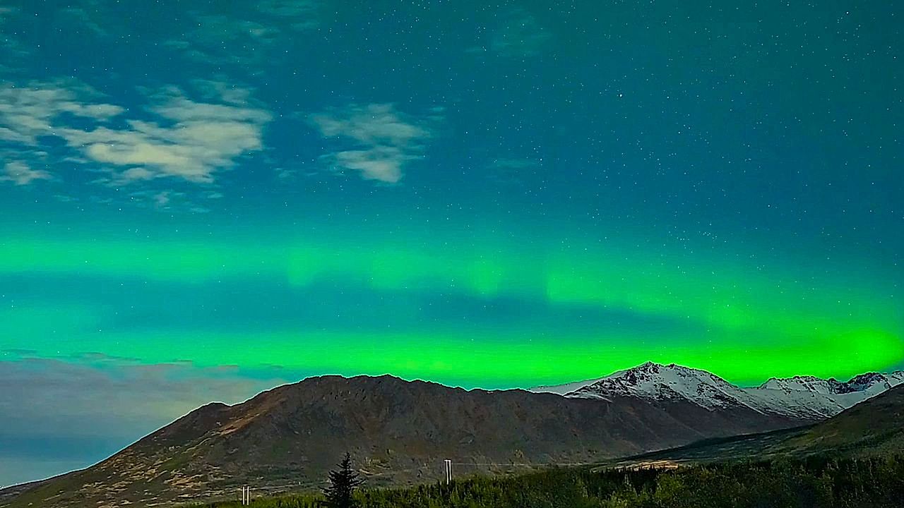 Magical spectacle: Northern lights dazzle night sky over snowy Anchorage