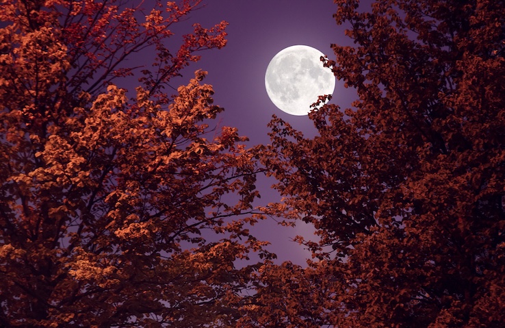 The October Full Moon in Aries Is Bringing Major Energy Shifts-Here's ...