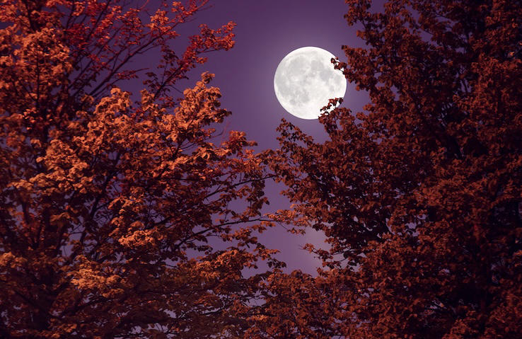 The October Full Moon in Aries Is Bringing Major Energy Shifts-Here's ...