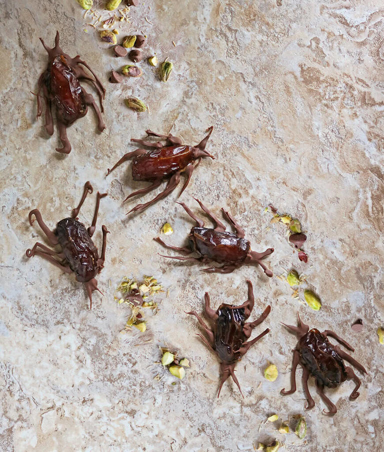 Dubai Chocolate Cockroaches