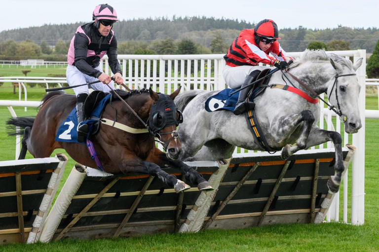 Camptown trainer Gary Rutherford is Borders’ only success story at ...