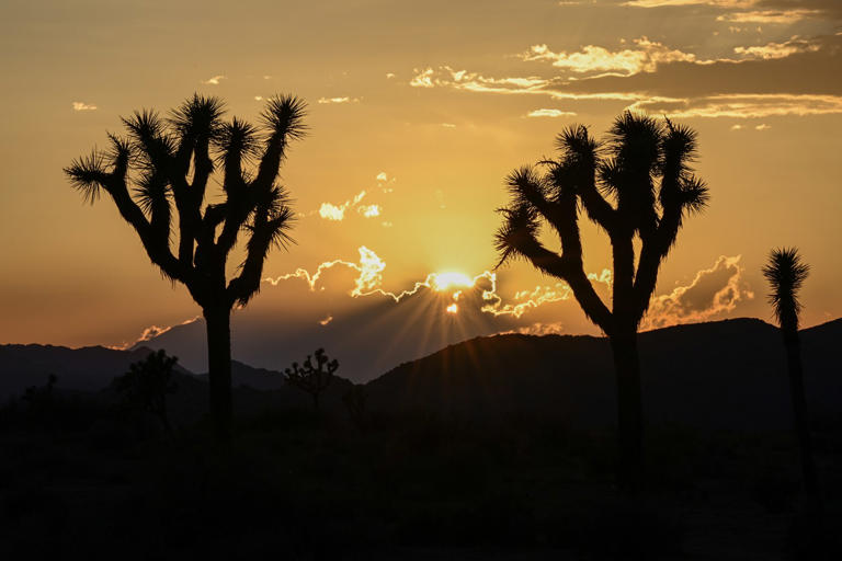 What a government shutdown will mean for Californians, from Social ...