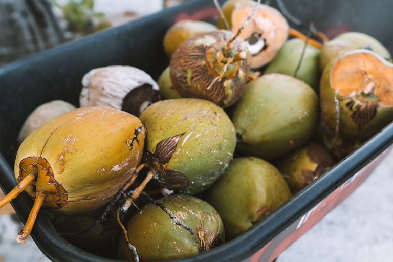 The Perfect Belize Escape for Every Kind of Traveler