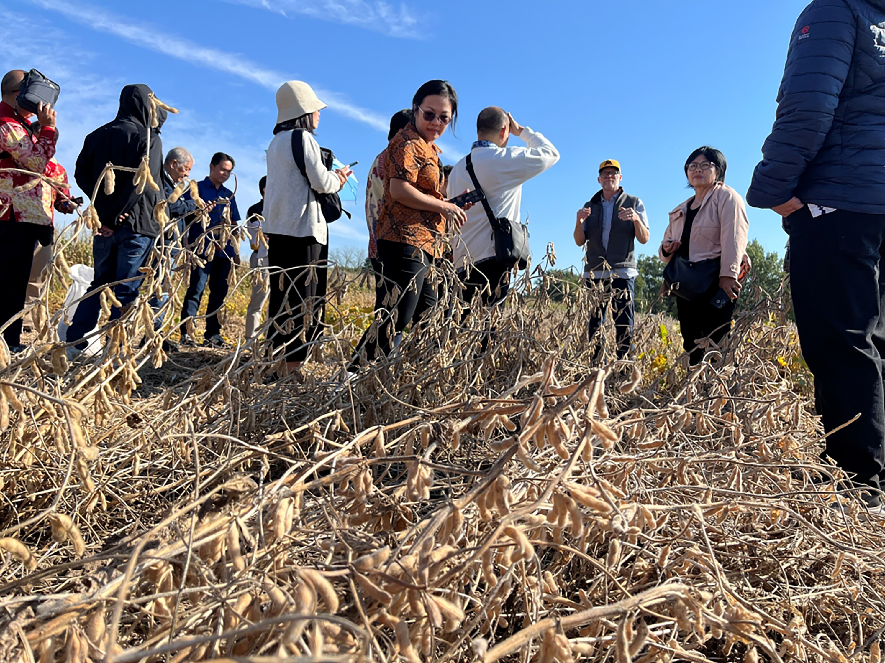 Minnesota soybean farmers host Southeast Asia buyers as trade war with ...