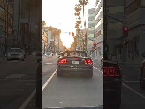 Mysterious giraffe 🦒 man in Los Angeles in a Mustang