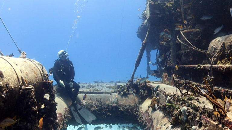Multi-sensory meditation space coming soon to Birch Aquarium